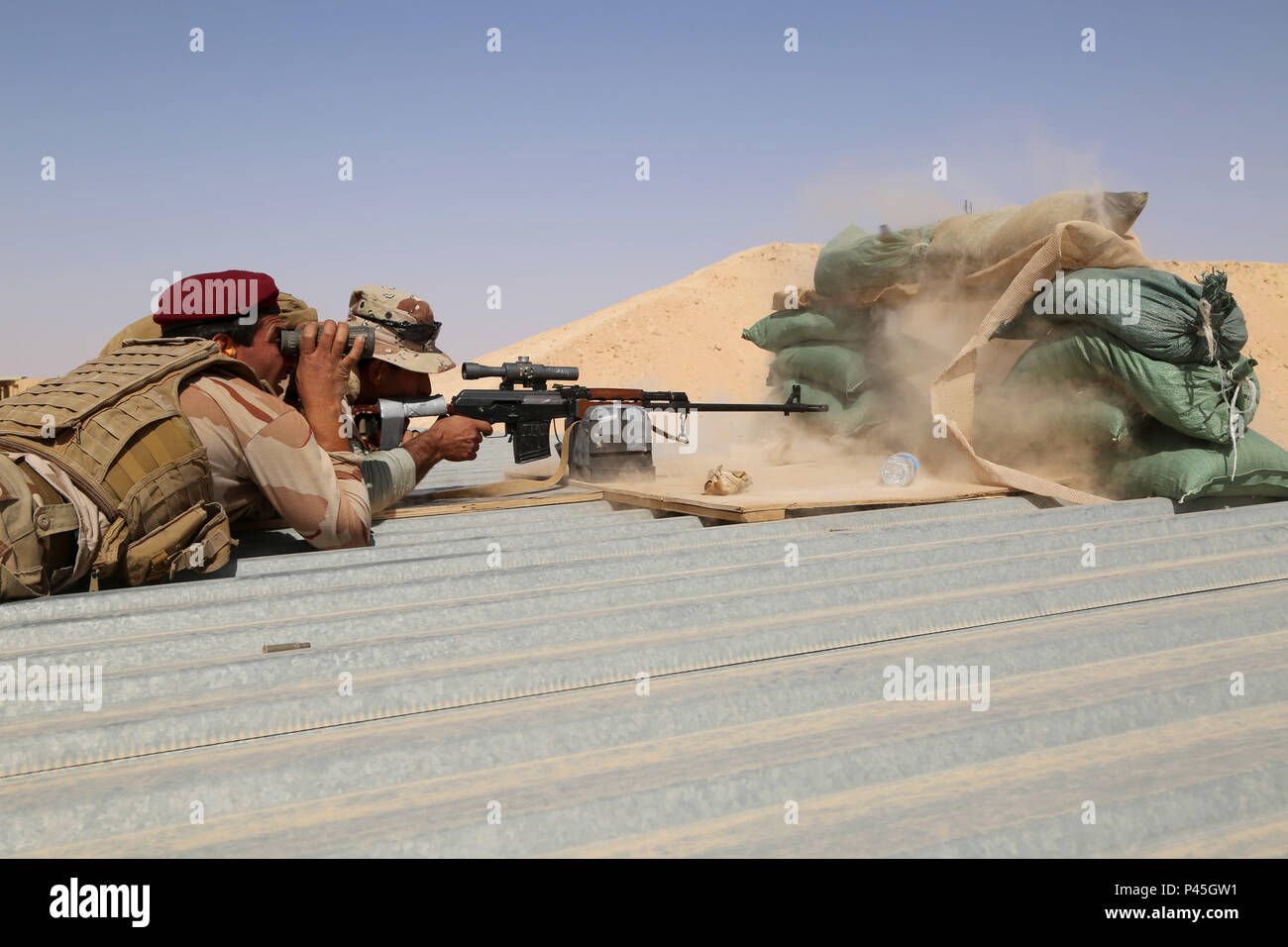 Svd sniper rifle hi-res stock photography and images - Alamy