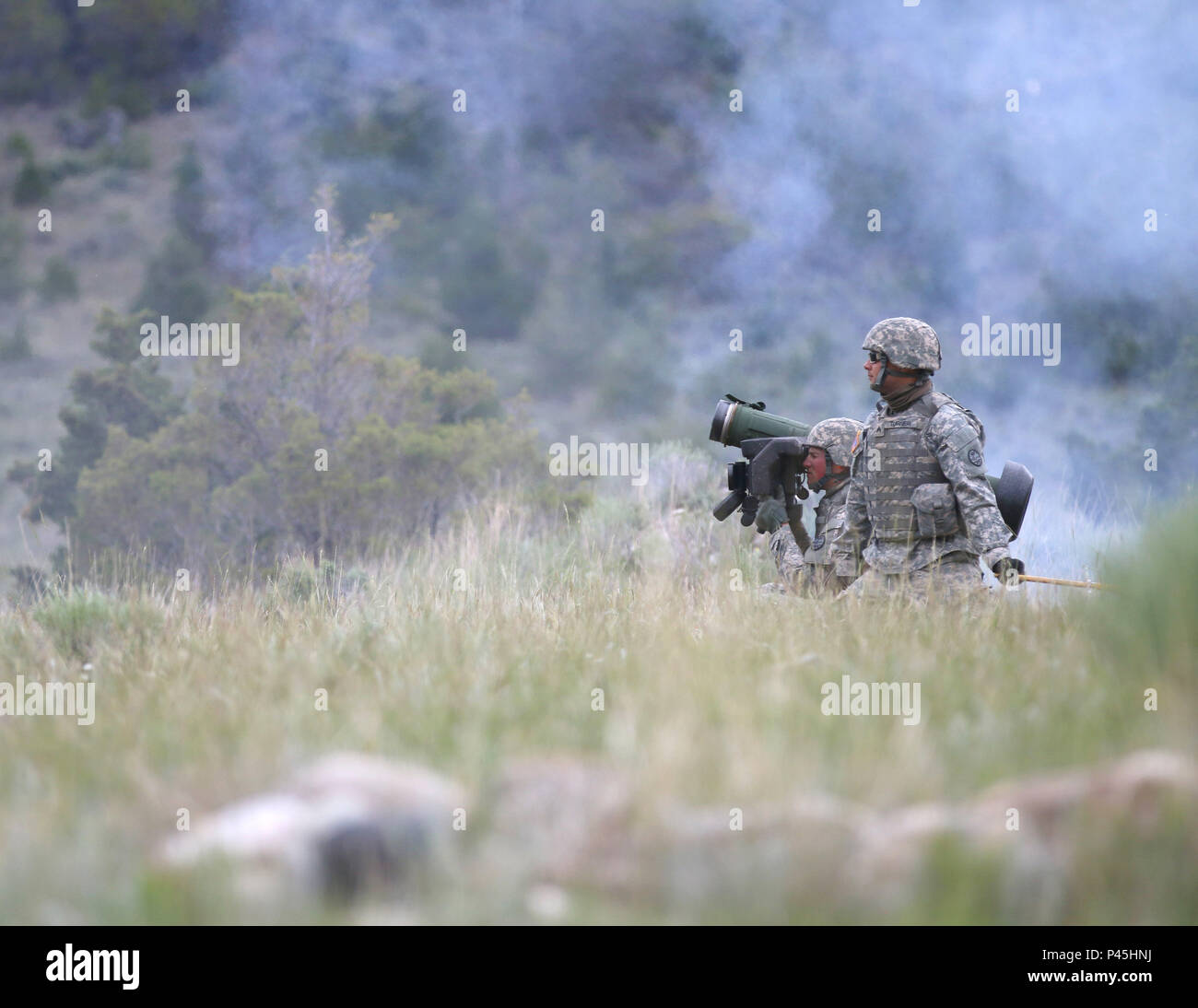 A Soldier with the Montana National Guard 1-163rd Combined Arms ...