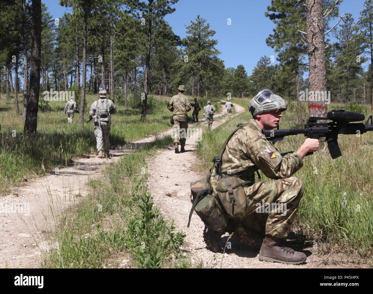 U.S. Army Soldier Spc. Daniel Han, from the Illinois Army National ...