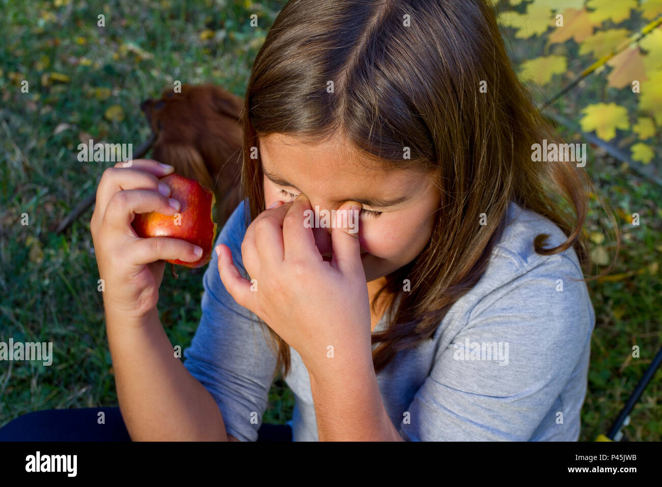 Child bite a red apple and has a heavy toothache. Cute little girl eat ...
