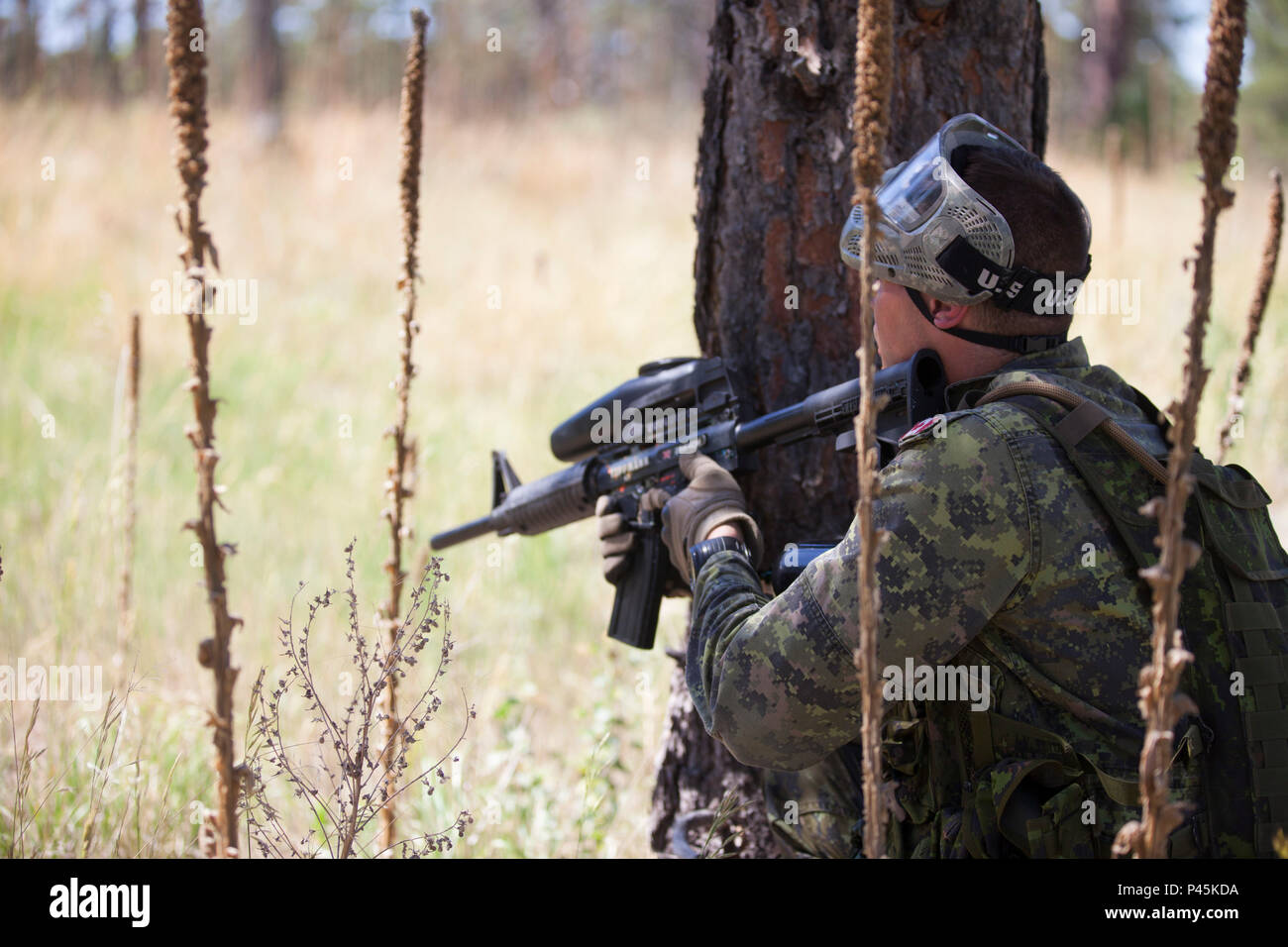 A Soldier from the 41st Canadian Brigade Group, Canadian Army, scans ...