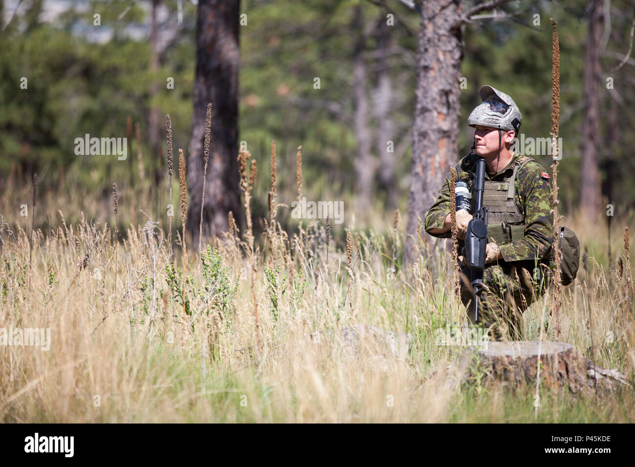 A Soldier from the 41st Canadian Brigade Group, Canadian Army, takes a ...