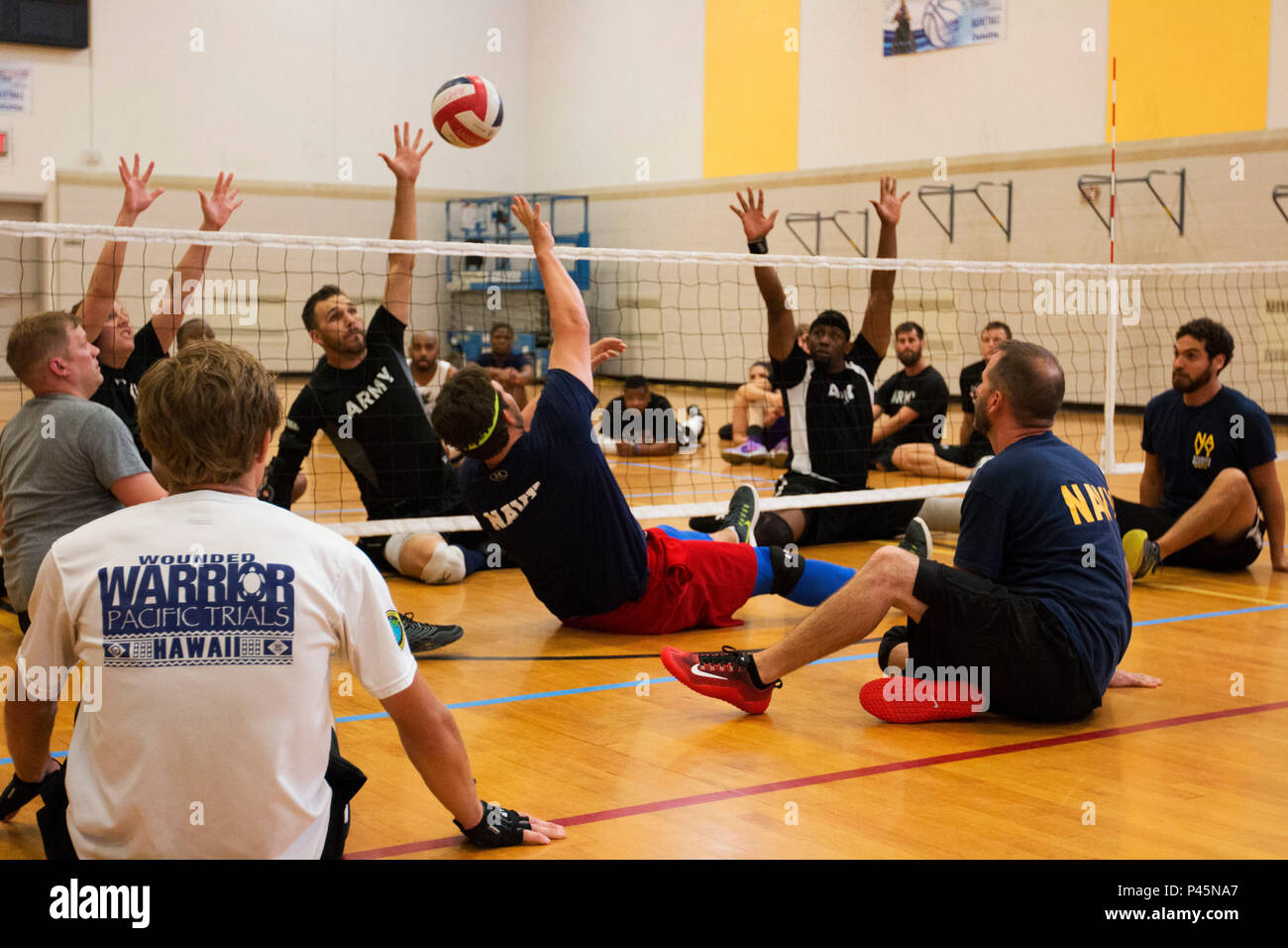 The Navy seated volleyball team practices against the Army team in a ...