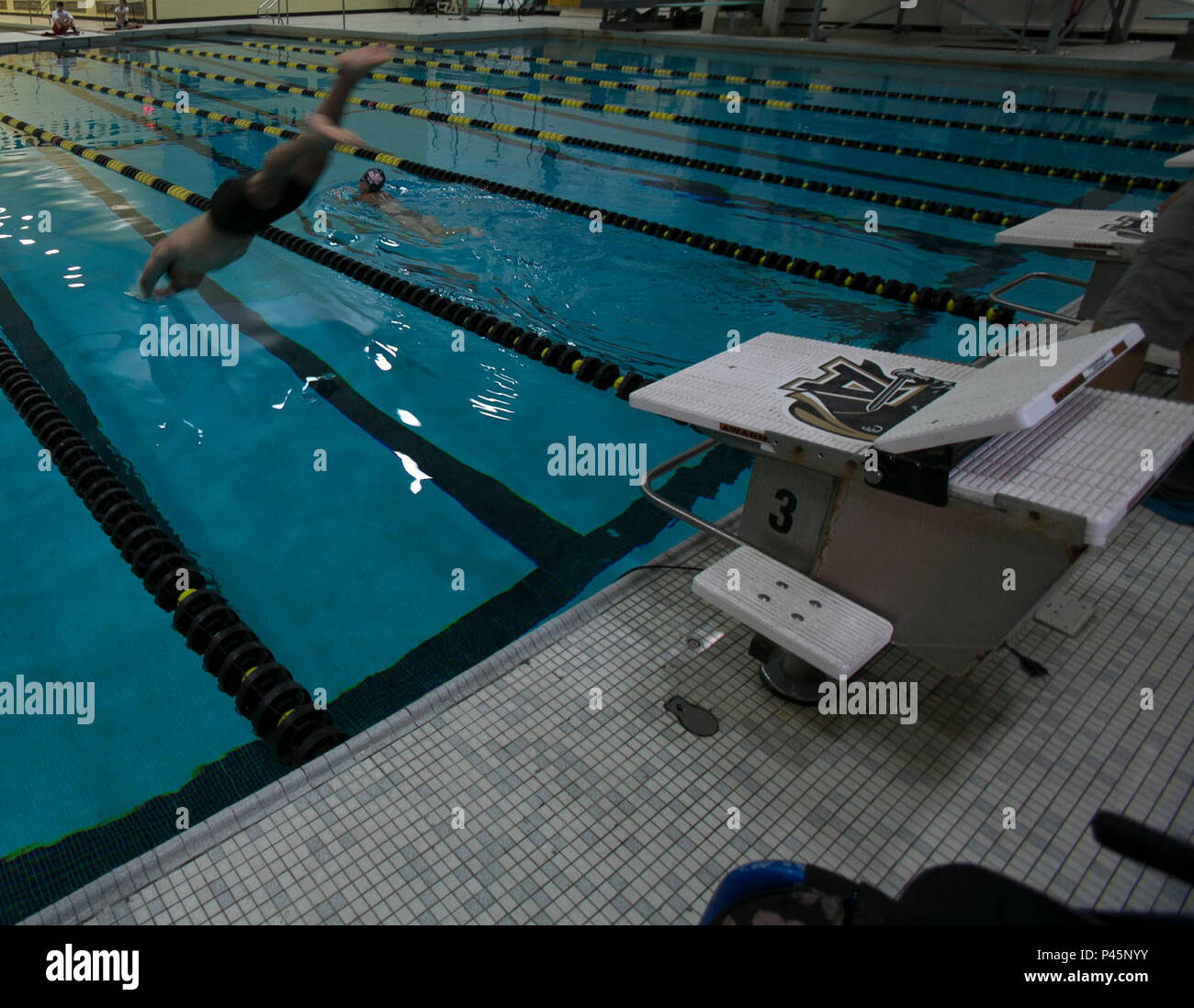 A member of Team Marine Corps dives into the pool during a 2016 ...