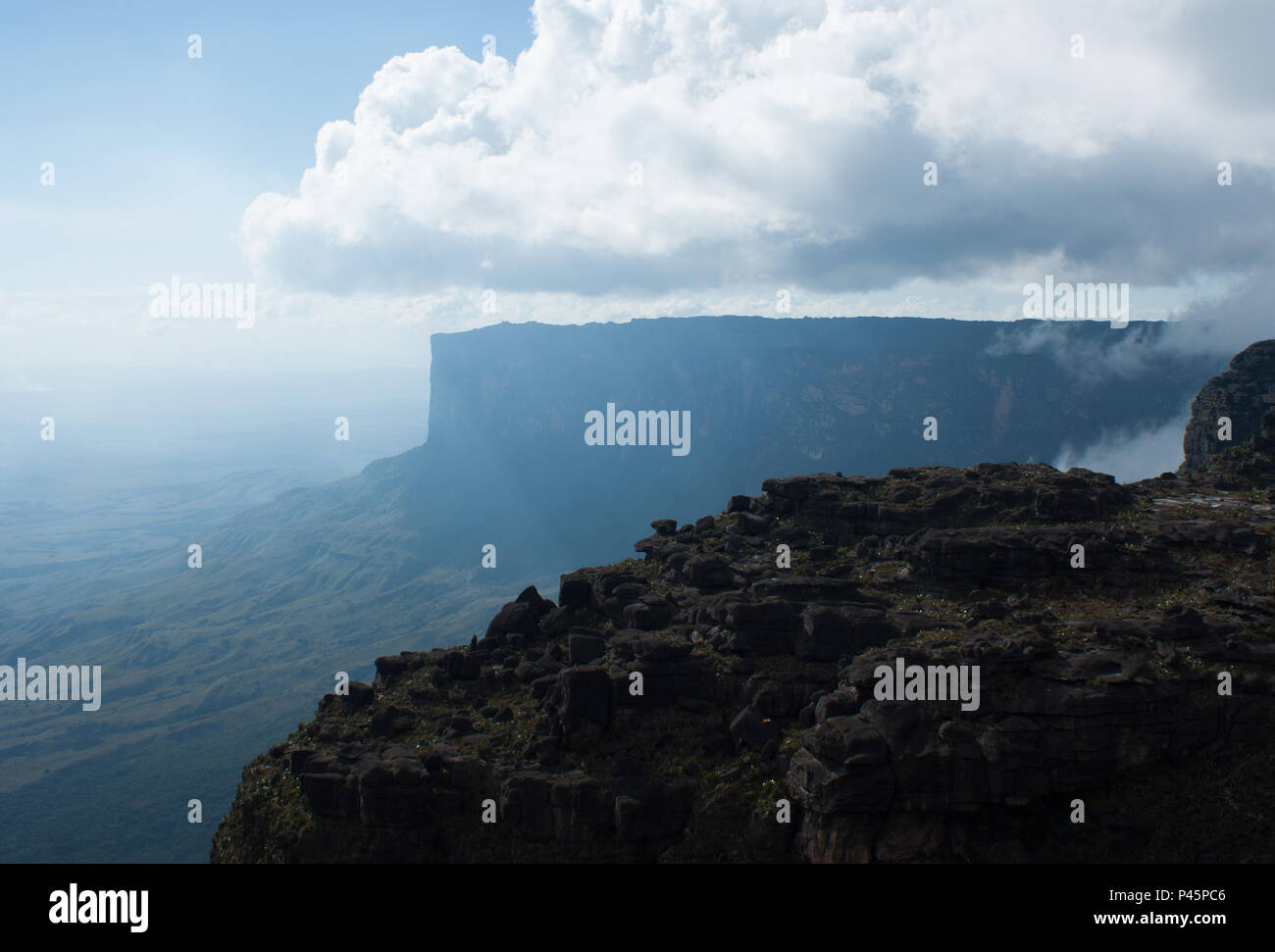 Monte Roraima. Monte Roraima. Gran Savana / BolÃ­var / Venezuela. 24/01 ...
