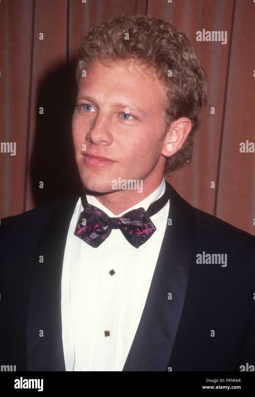 BEVERLY HILLS, CA - NOVEMBER 12: Actor Ian Ziering attends Seventh ...