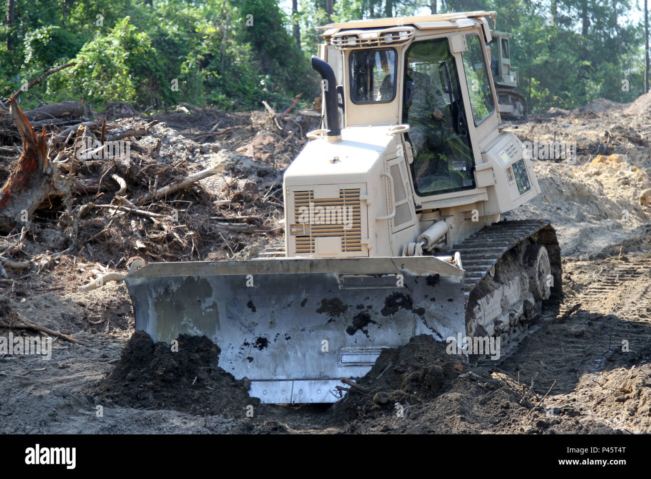 A U.S. Soldier in the 1782nd Engineer Company, South Carolina Army ...