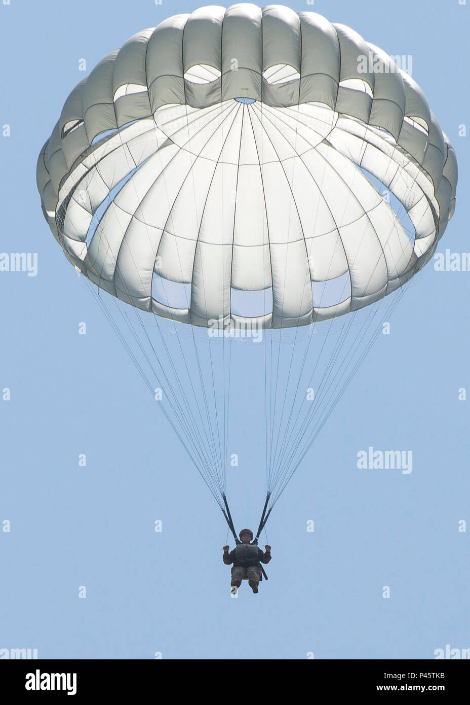 Fulp hi-res stock photography and images - Alamy