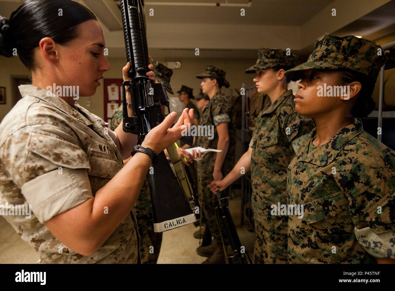 Platoon commanders inspection hi-res stock photography and images - Alamy