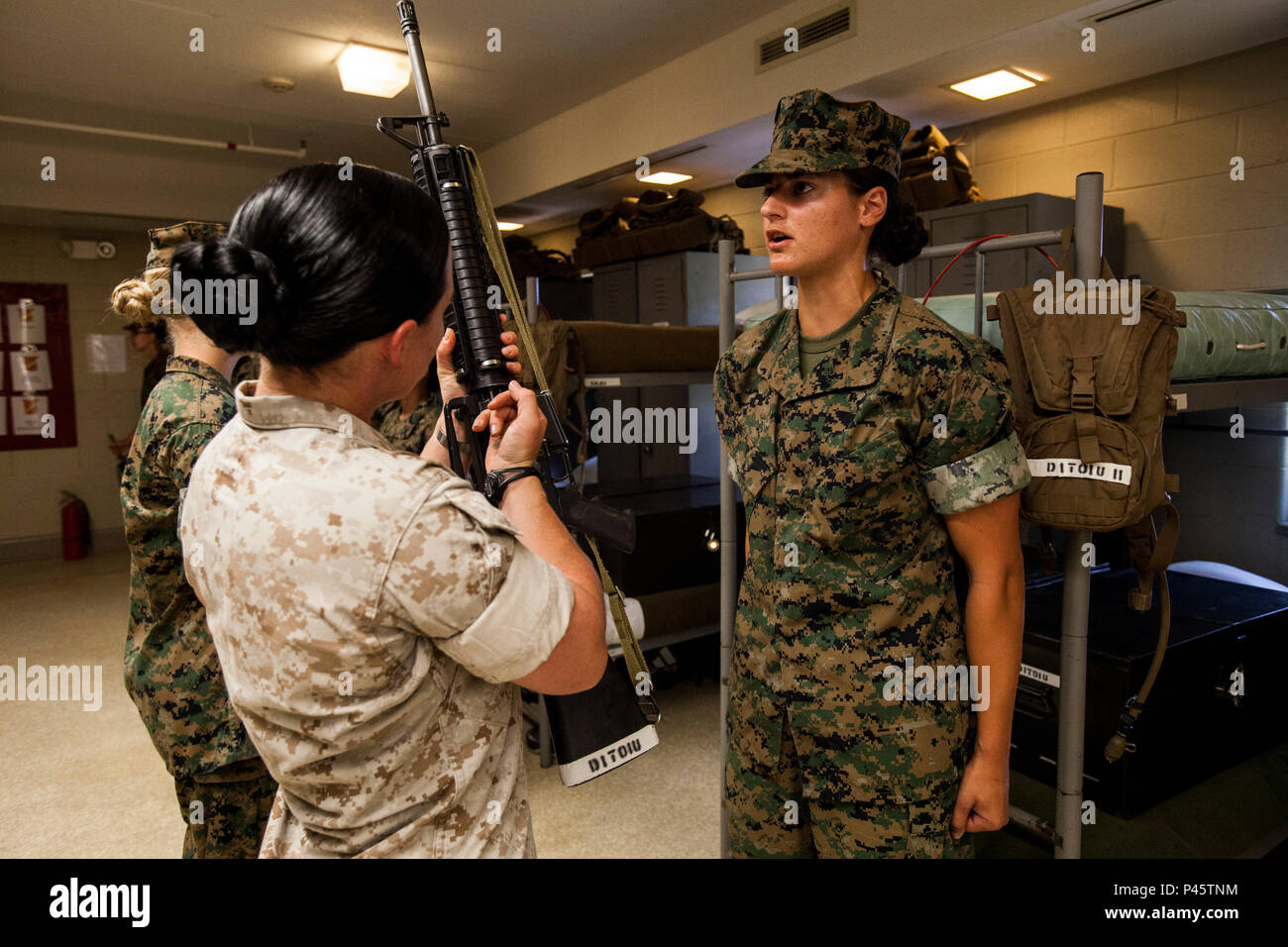 Platoon commanders inspection hi-res stock photography and images - Alamy