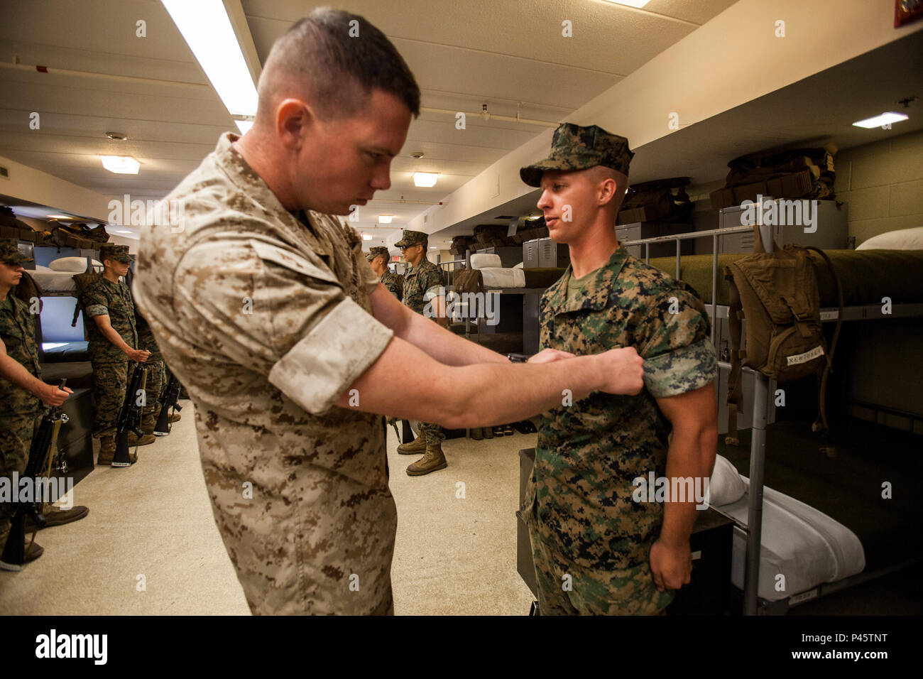 Platoon commanders inspection hi-res stock photography and images - Alamy