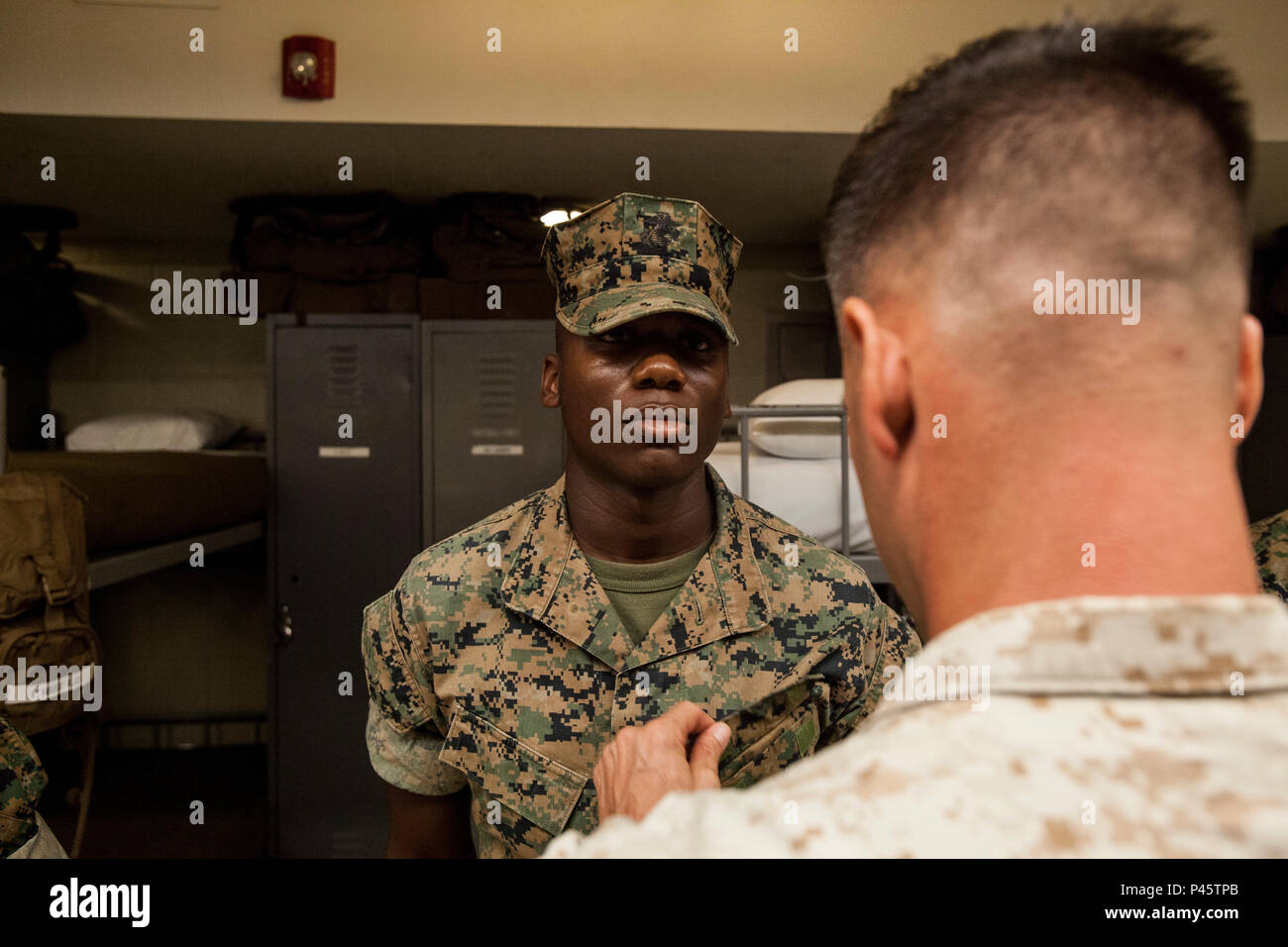 Platoon commanders inspection hi-res stock photography and images - Alamy