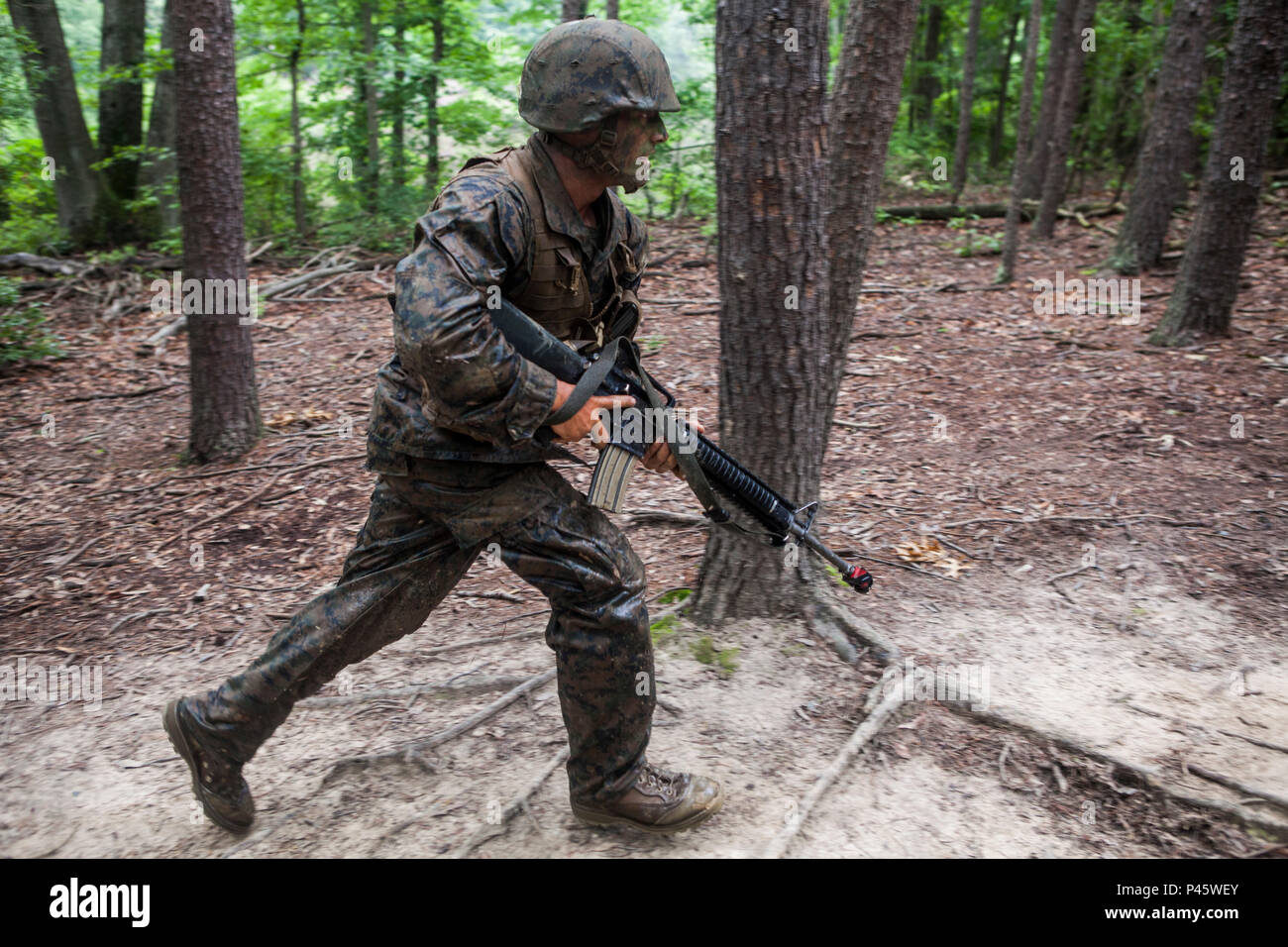 A Candidate with Delta Company, Officer Candidate School (OCS) conducts ...