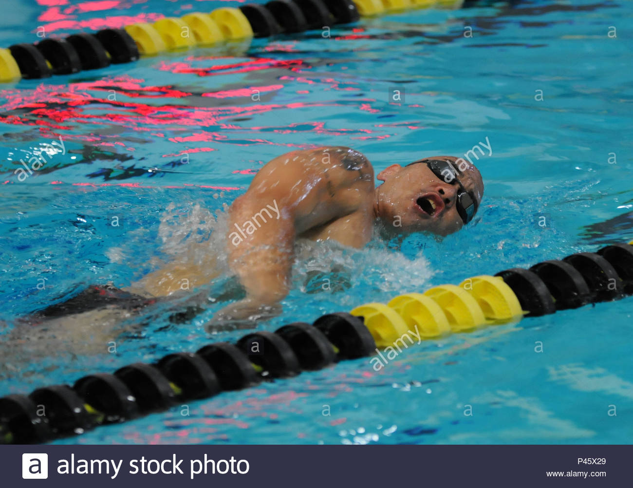 Lammers Stock Photos & Lammers Stock Images - Alamy