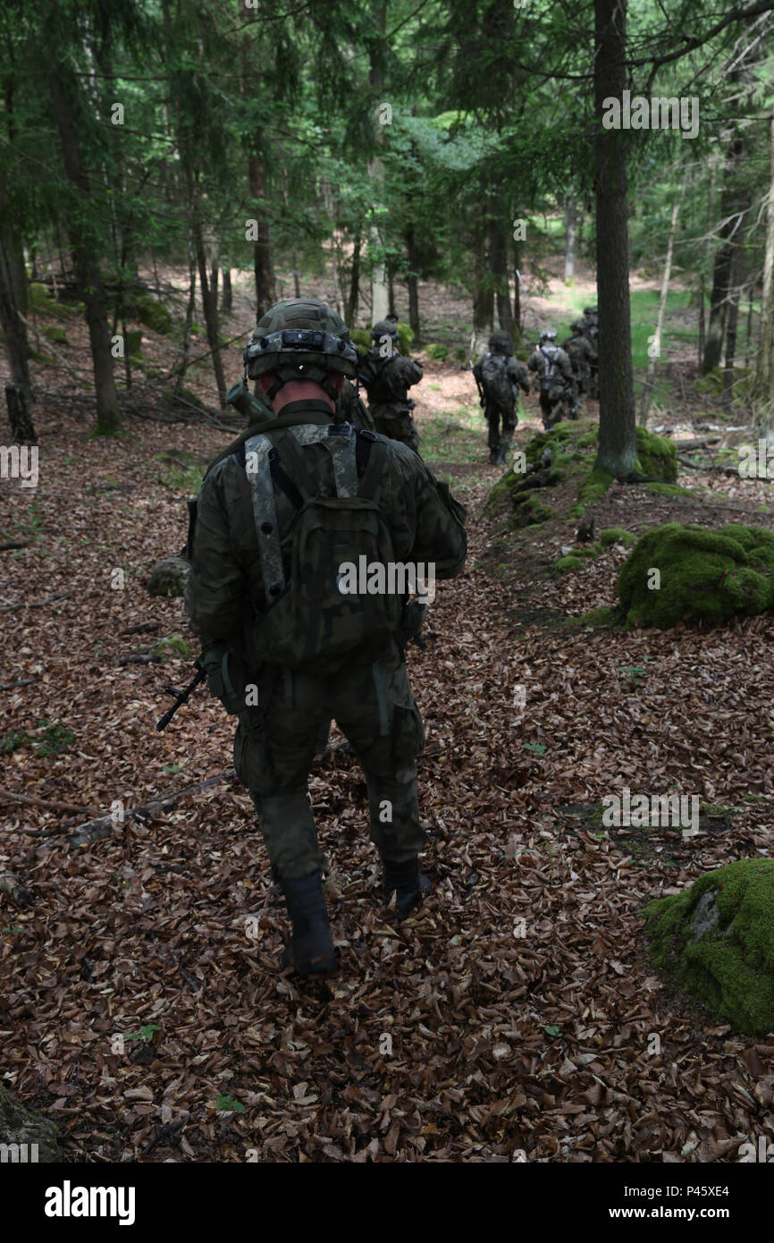 Polish soldiers of 6th Airborne Brigade tactically maneuver to an ...
