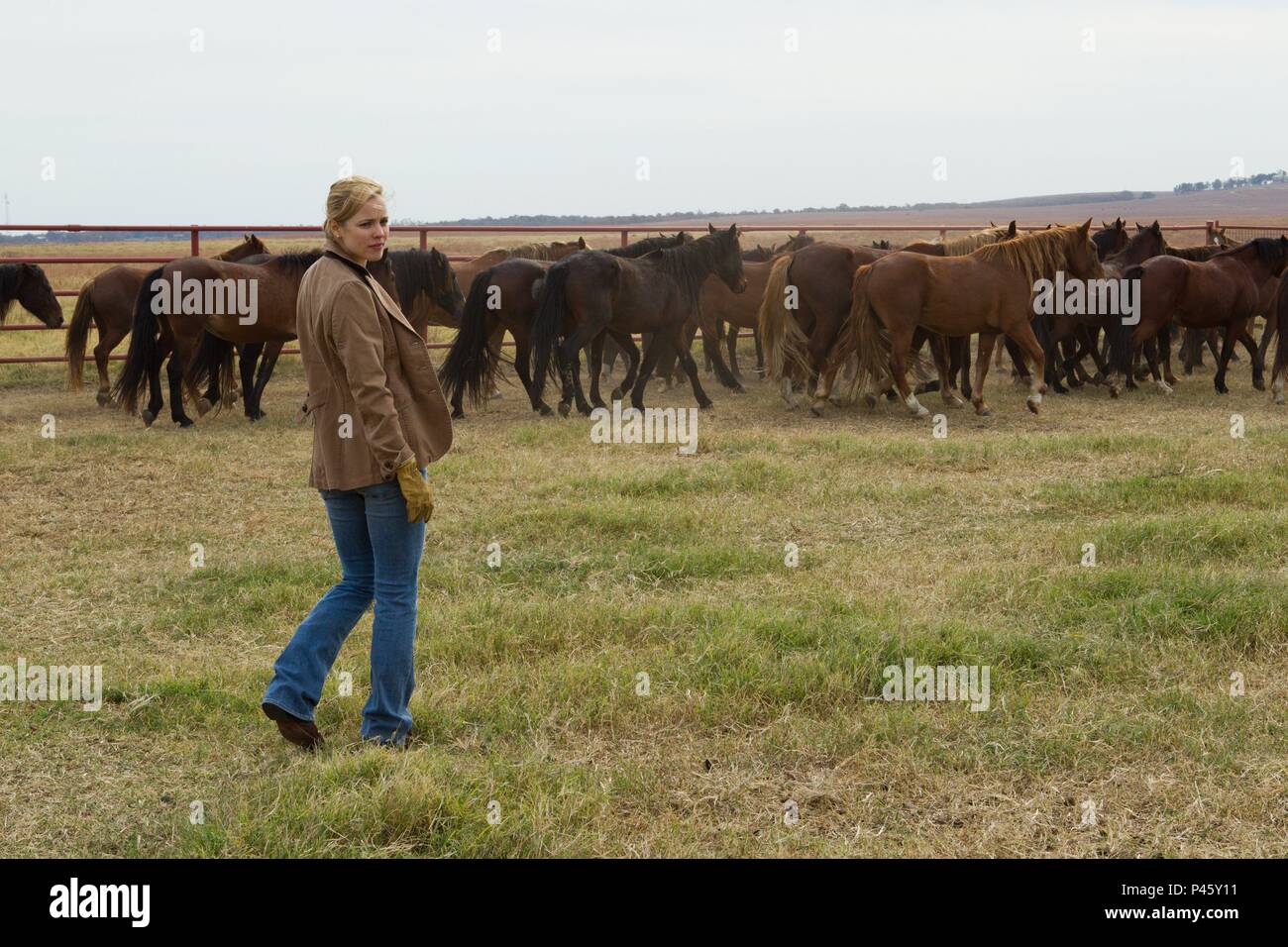 Original Film Title: TO THE WONDER. English Title: TO THE WONDER. Film ...