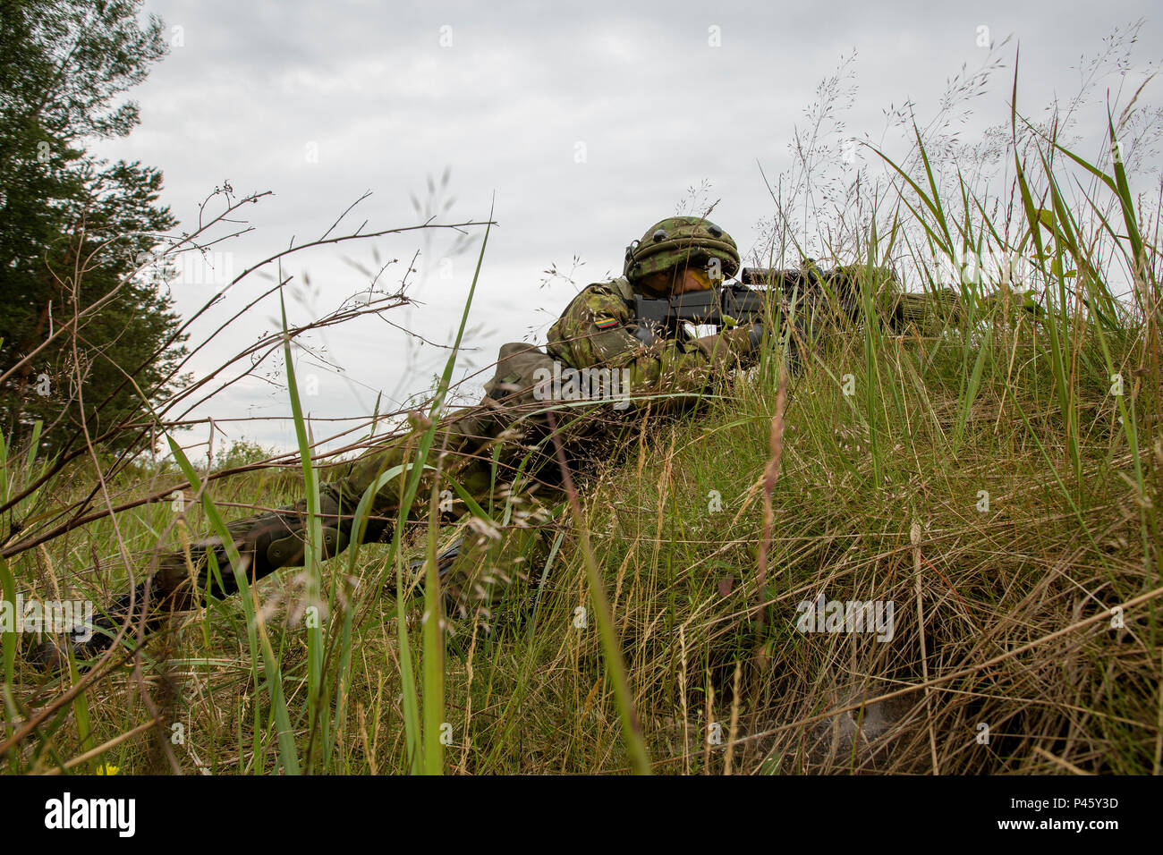 Contorting to the land; a Lithuanian soldier becomes one with the land ...