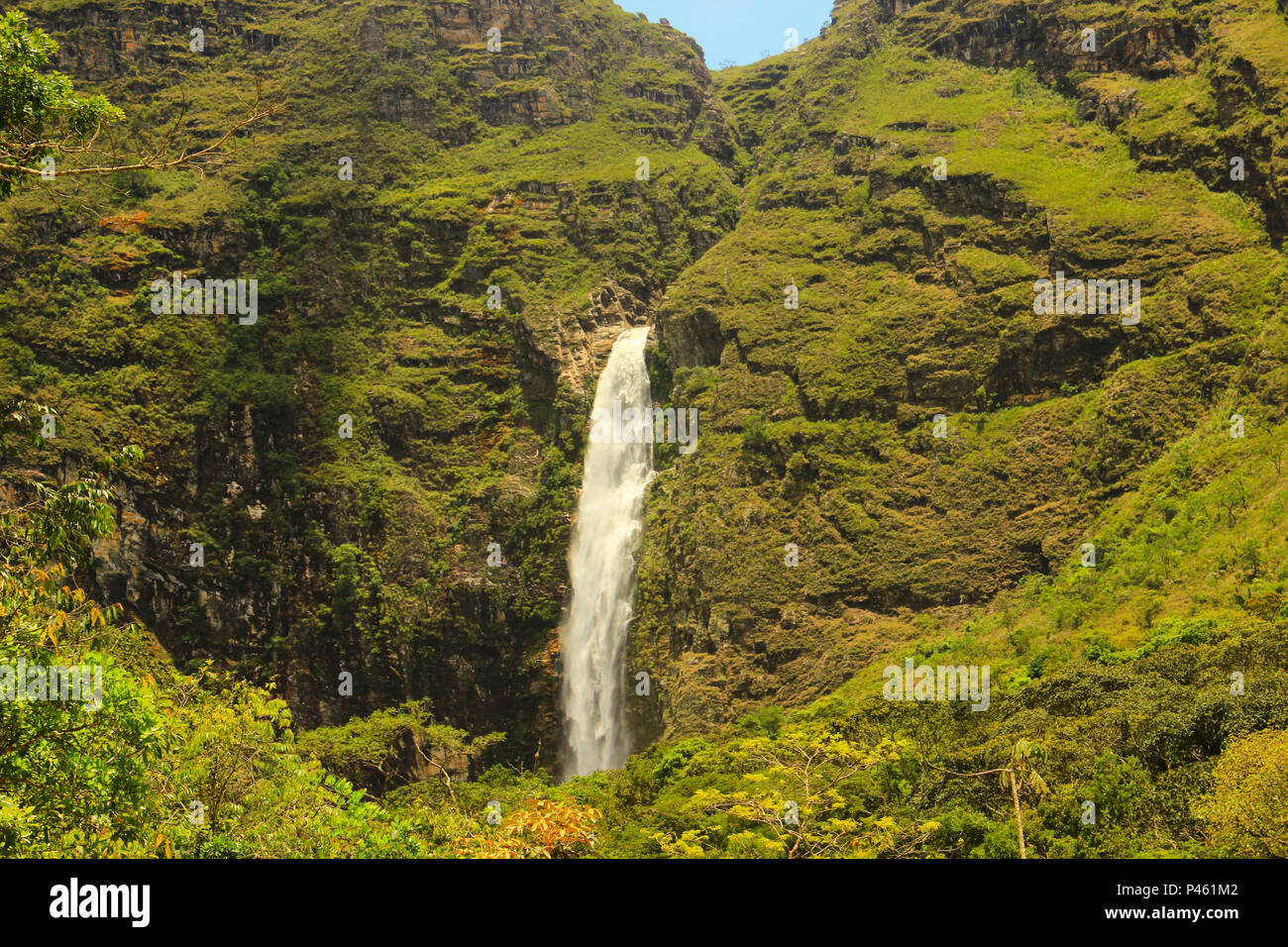 Cachoeira casca danta hi-res stock photography and images - Alamy