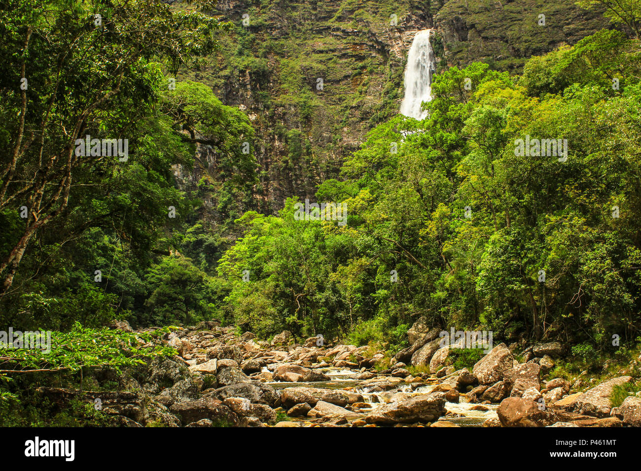 Cachoeira casca danta hi-res stock photography and images - Alamy
