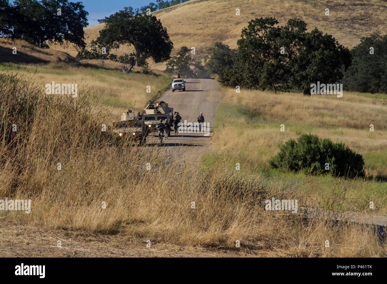 367th Military Police Company Stock Photos & 367th Military Police ...