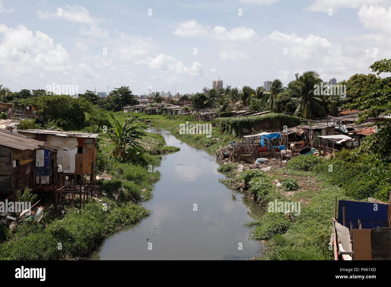 O impacto Ambiental nas margens do rio Beberibe na comunidade Beira-Rio ...