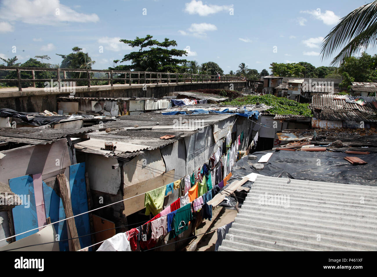 O impacto Ambiental nas margens do rio Beberibe na comunidade Beira-Rio ...