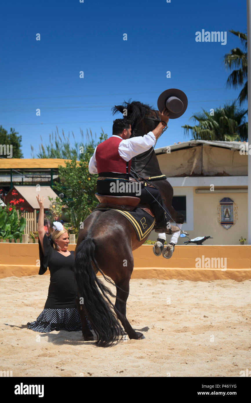 Female Horse In Spanish