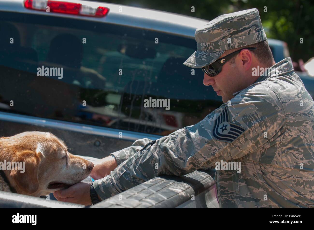 Flood victim dog hi-res stock photography and images - Alamy