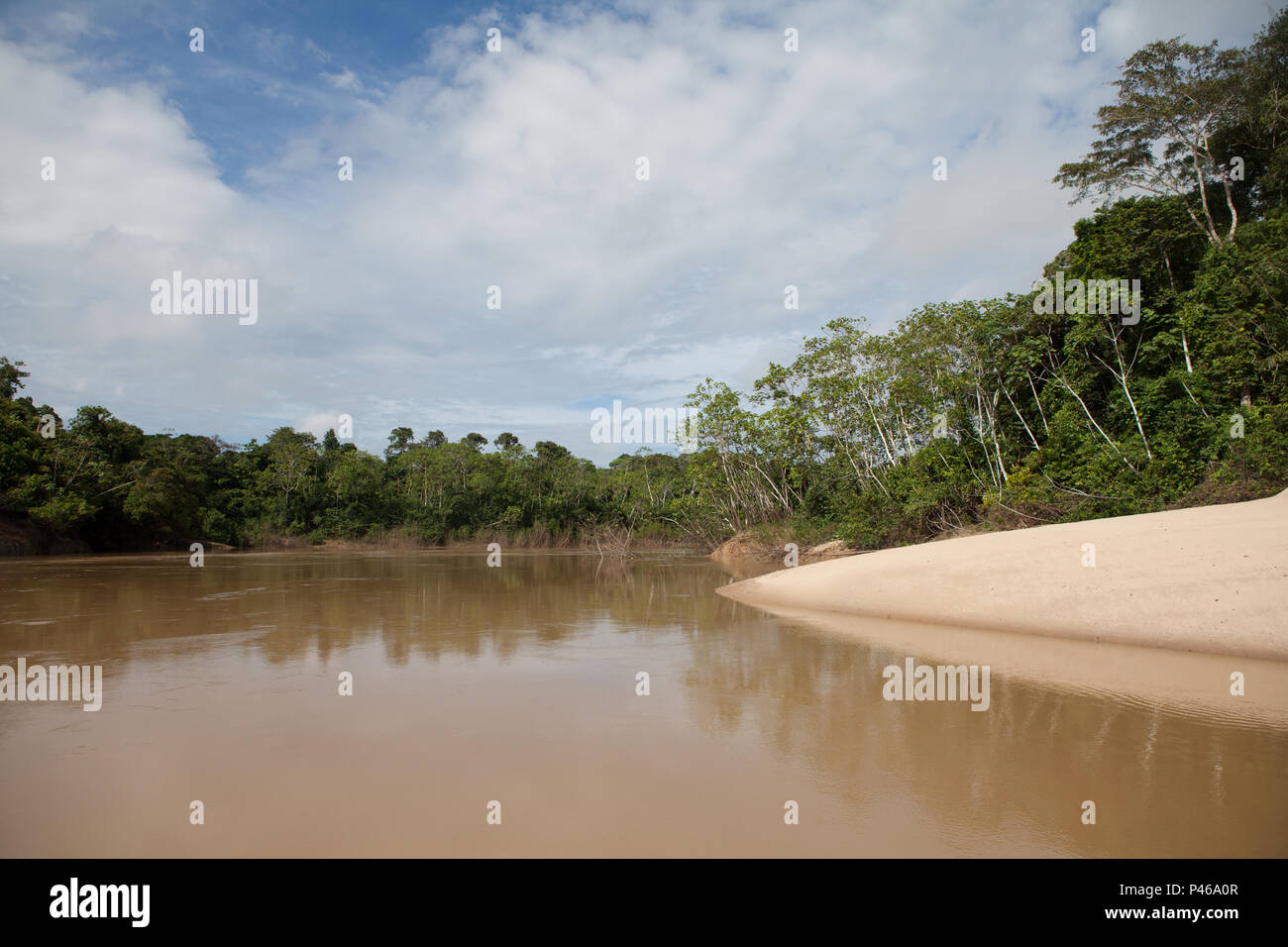Rio Curuçá. Amazonas / Brasil. Foto: Fellipe Abreu / Fotoarena Stock ...