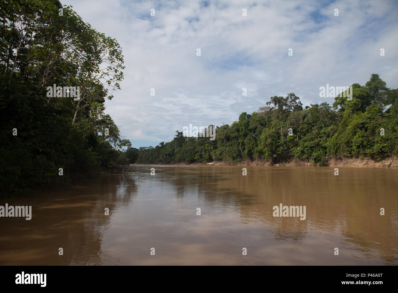 Rio Curuçá. Amazonas / Brasil. Foto: Fellipe Abreu / Fotoarena Stock ...