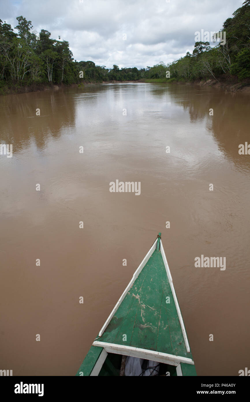 Curuca hi-res stock photography and images - Alamy