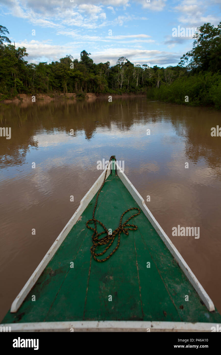 Rio Curuçá. Amazonas / Brasil. Foto: Fellipe Abreu / Fotoarena Stock ...