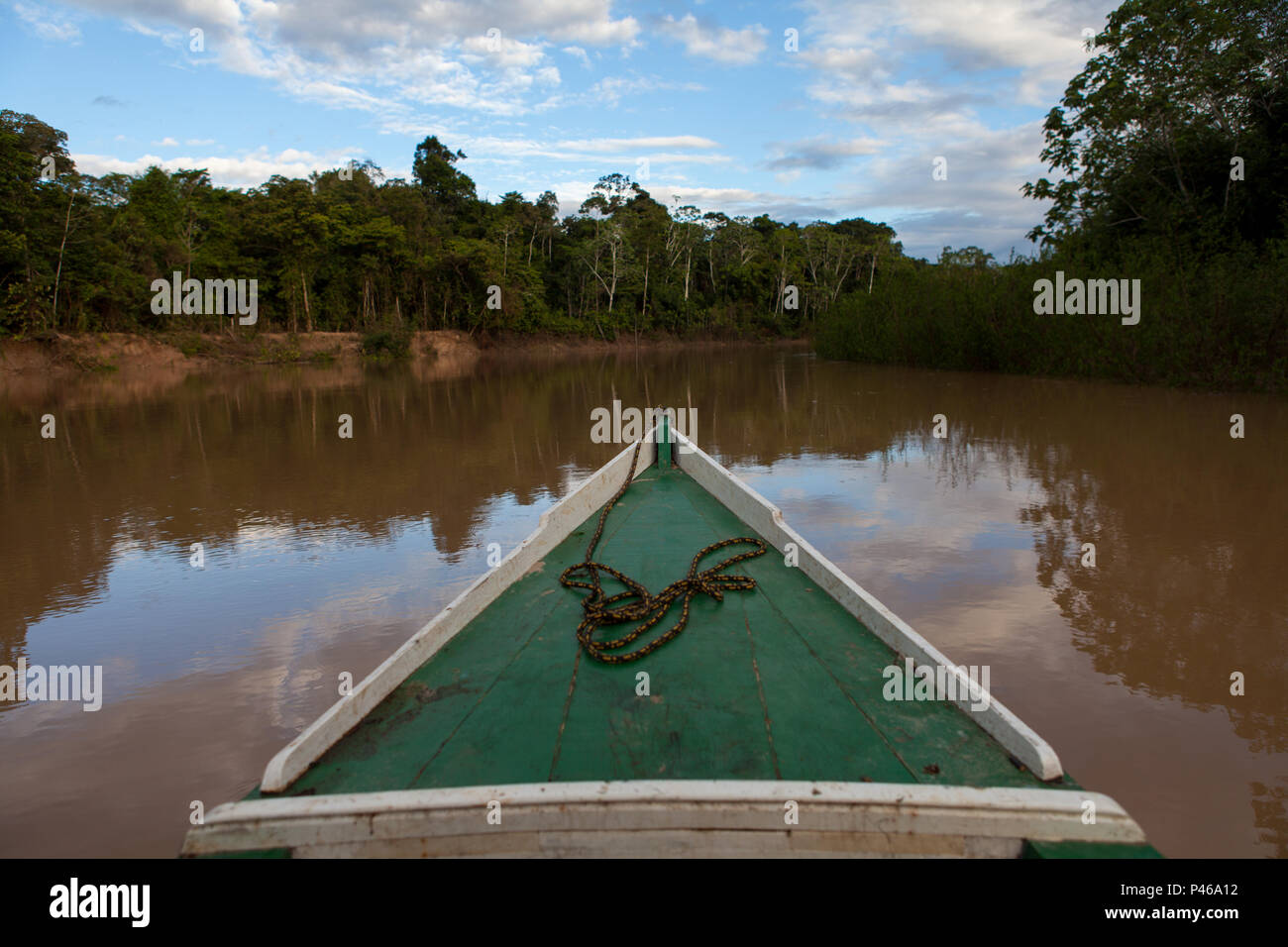 Rio Curuçá. Amazonas / Brasil. Foto: Fellipe Abreu / Fotoarena Stock ...