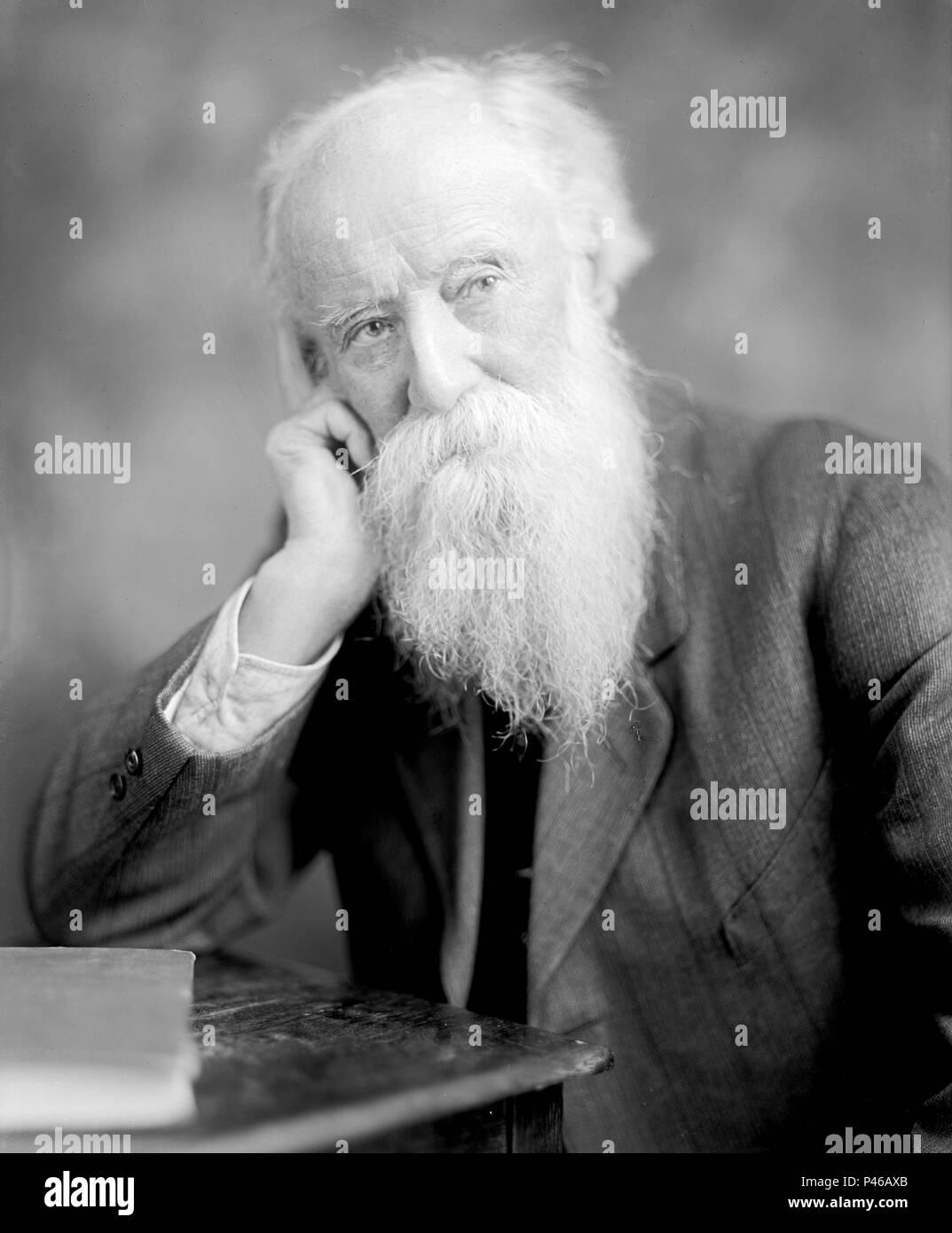 John Burroughs (1837 – 1921) American naturalist Stock Photo - Alamy