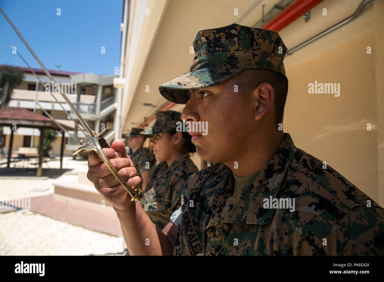 Sword And Guidon High Resolution Stock Photography and Images - Alamy
