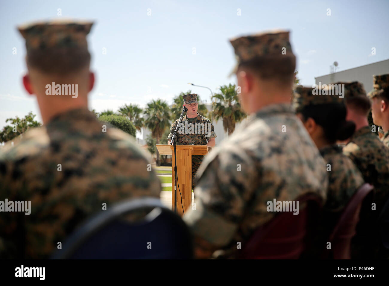 Sgt. Maj. Daniel Wilson, Sergeant Major of the Logistics Combat Element ...