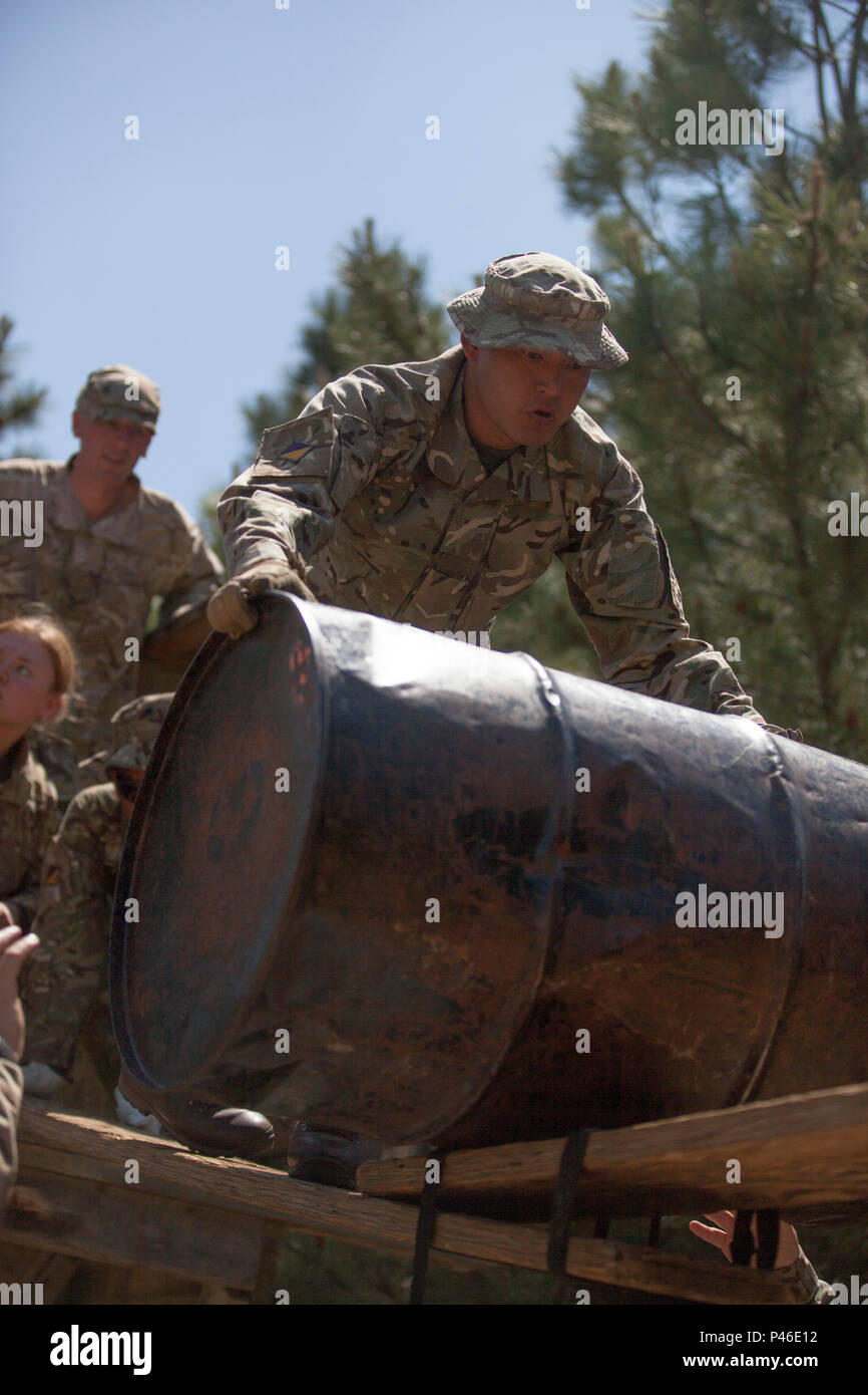 U.K. Soldiers of the 154th Scottish Regiment, Royal Logistic Corps ...