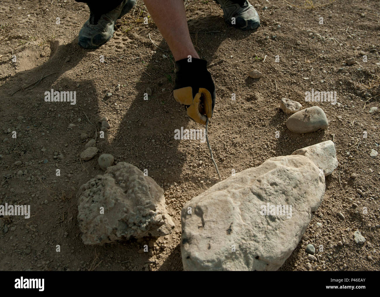 Evenly Spread Stock Photos & Evenly Spread Stock Images - Alamy