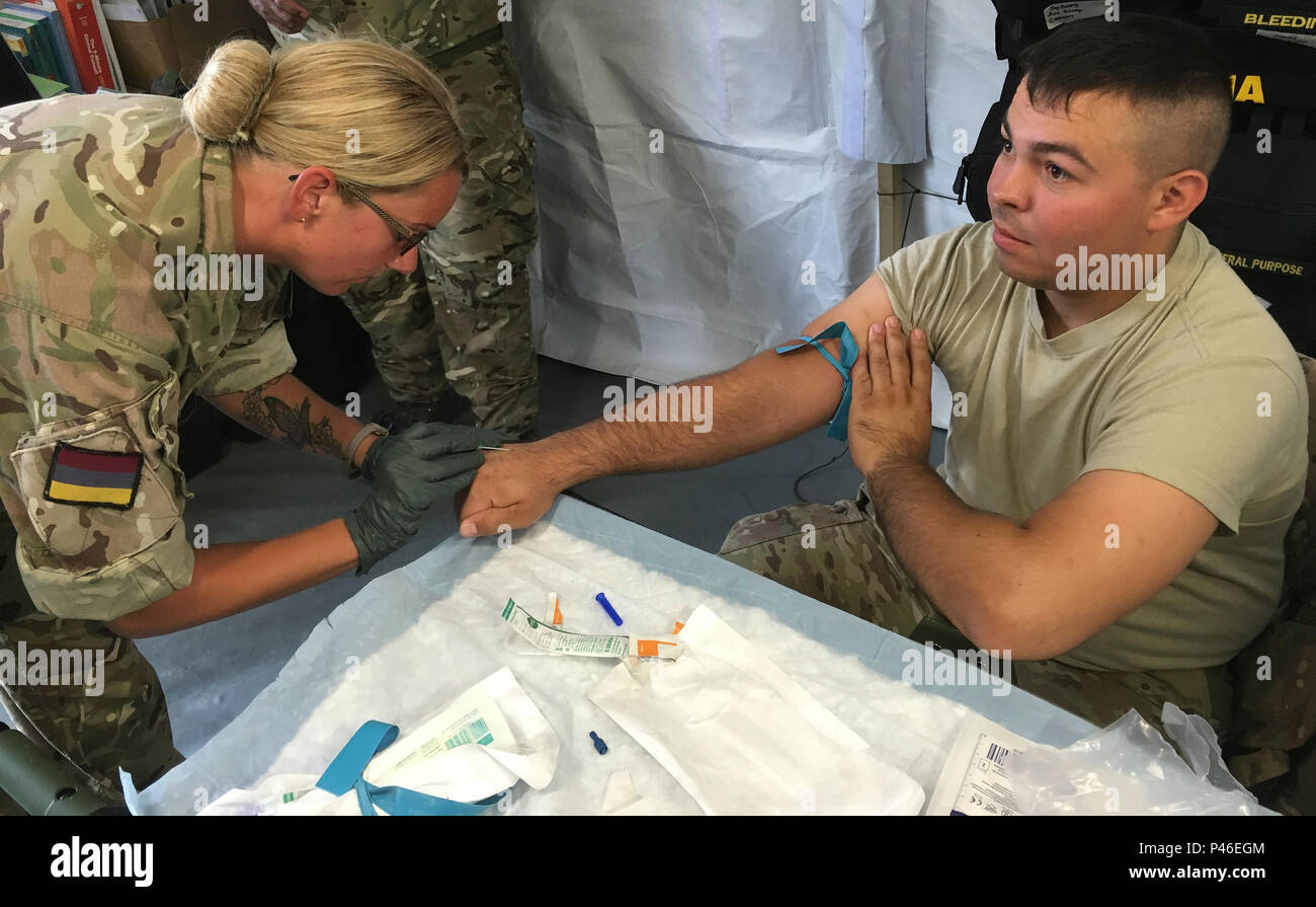 British army medic training hi-res stock photography and images - Alamy