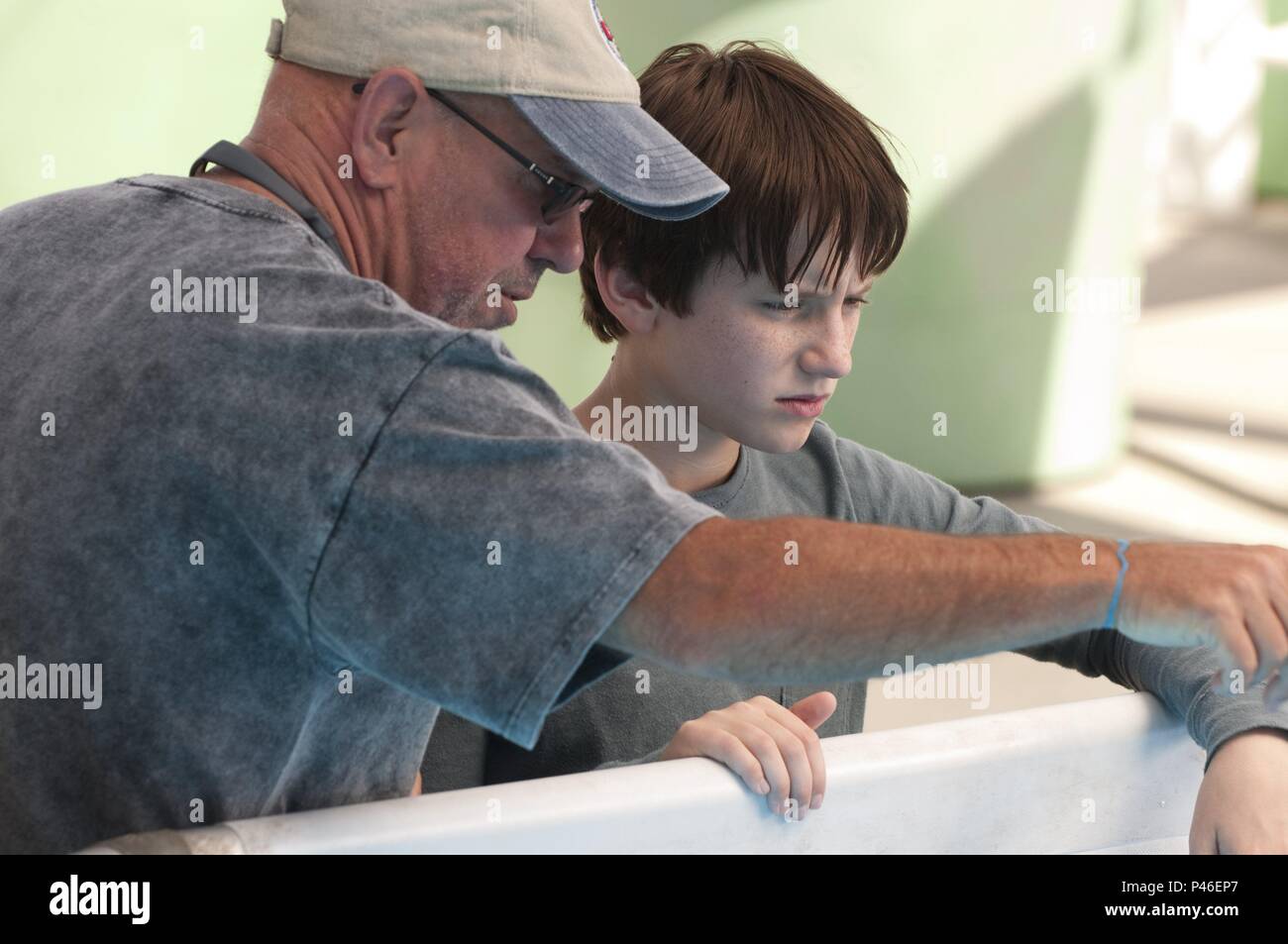 Original Film Title: DOLPHIN TALE. English Title: DOLPHIN TALE. Film ...