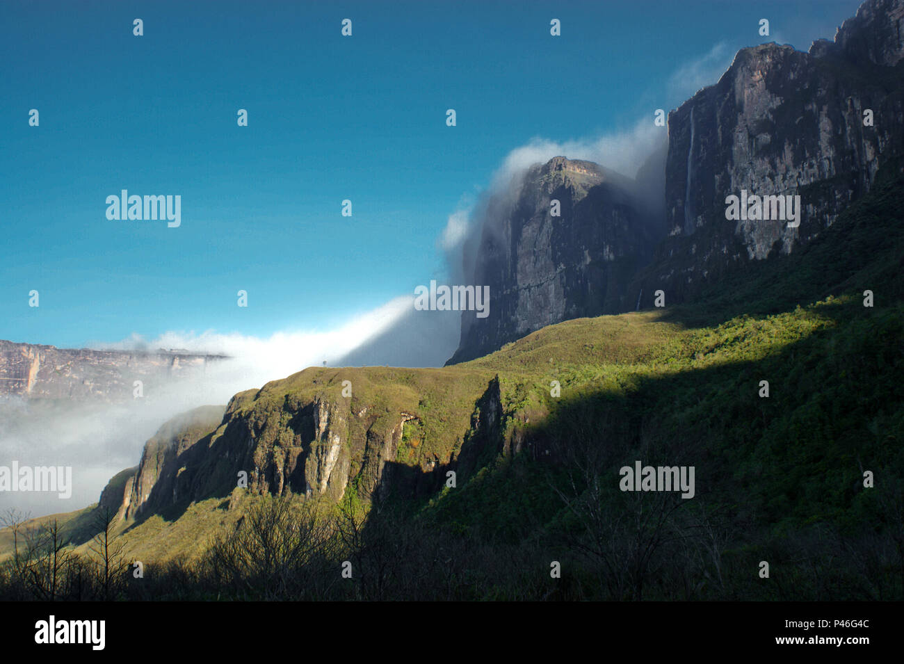 Permitida hi-res stock photography and images - Alamy