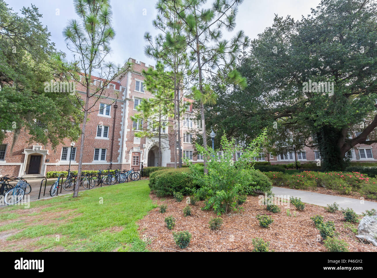 Gainesville hi-res stock photography and images - Alamy
