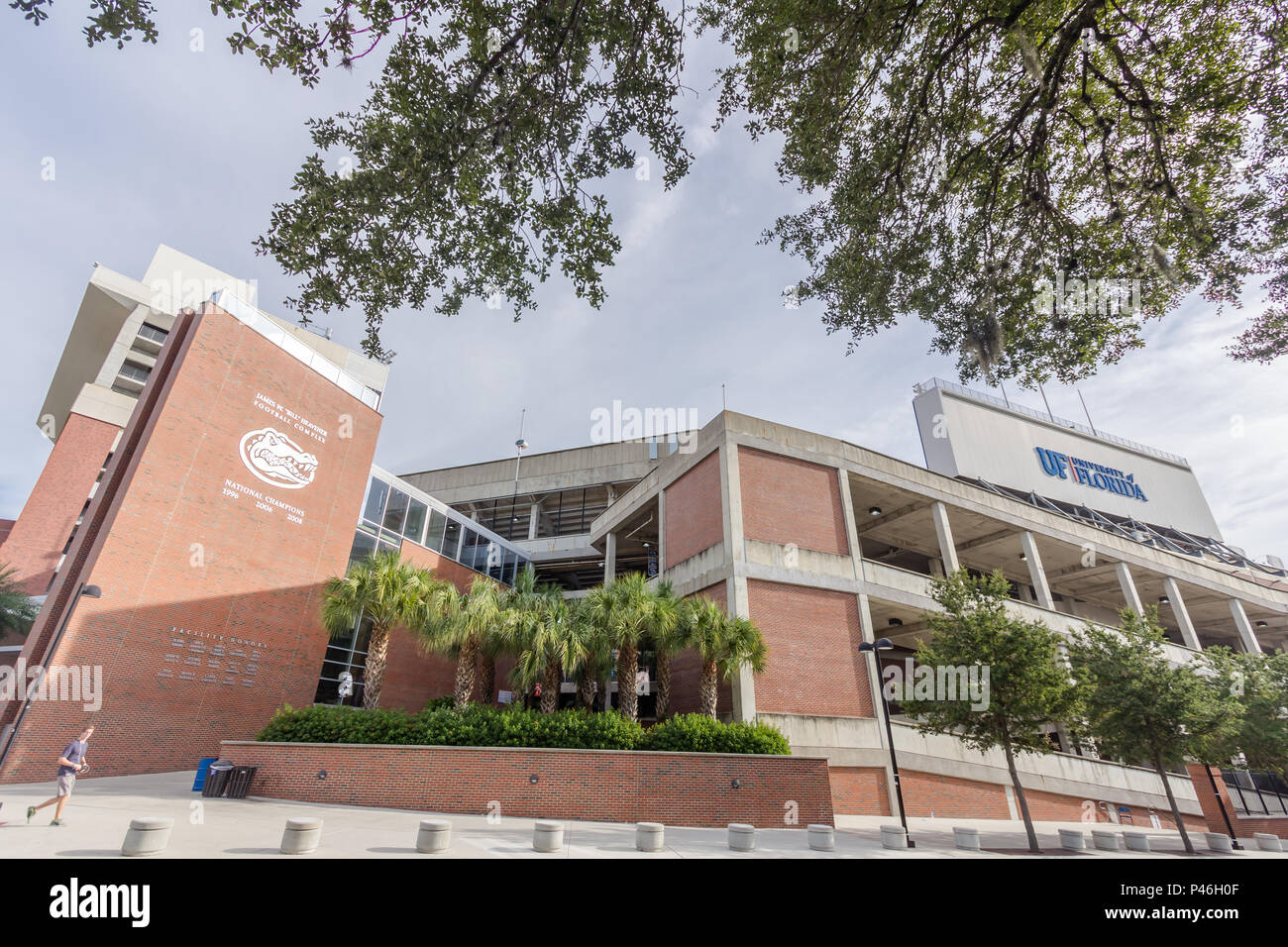 Steve Spurrier-Florida Field at Ben Hill Griffin Stadium ("The Swamp ...