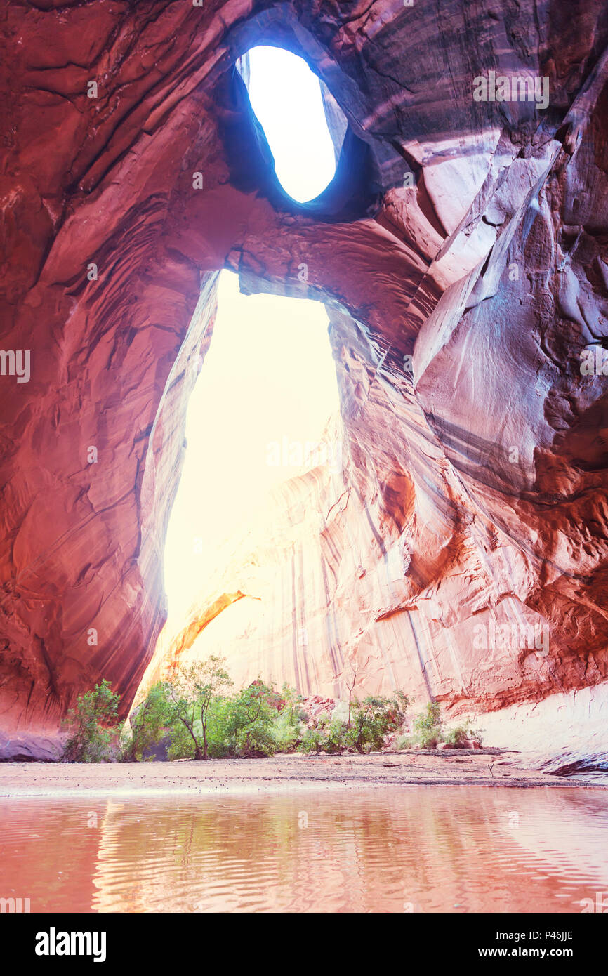 Golden Cathedral in Neon Canyon, Escalante National Park, Utah Stock ...