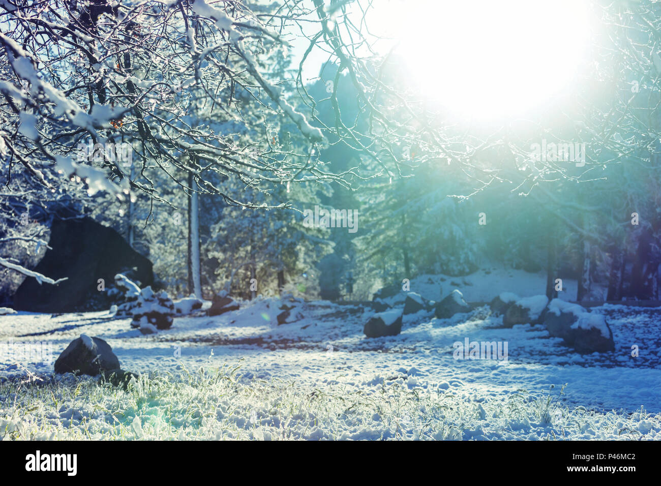 Frozenned hi-res stock photography and images - Alamy