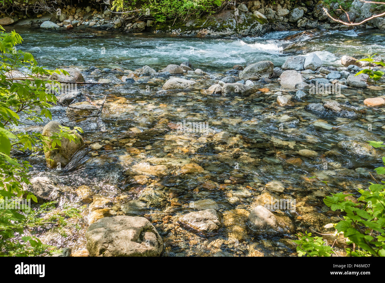 Clear water reveals rocky shallows at Denny Creek in Washington State ...