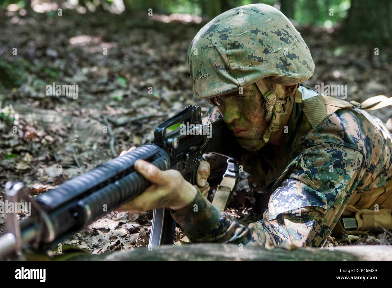 A Candidate with Delta Company, Officer Candidate School (OCS) conducts ...