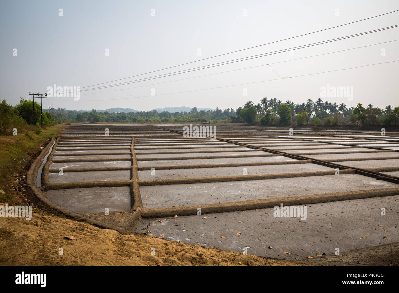 Goa rice field hi-res stock photography and images - Alamy