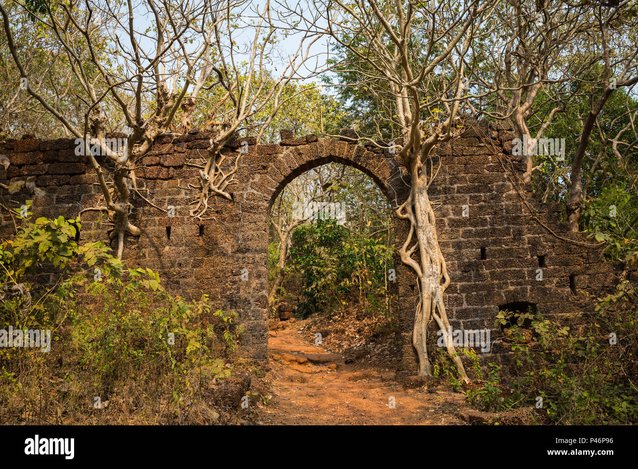 Redi fort in north GOA Stock Photo - Alamy