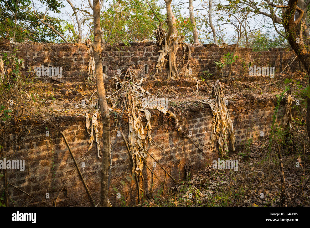 Redi fort in north GOA Stock Photo - Alamy